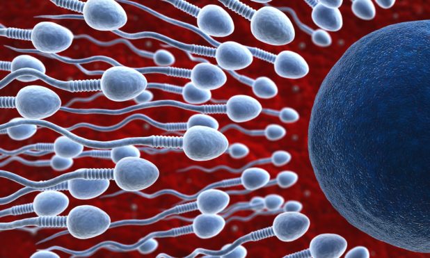 Endocrine-Disrupting Chemicals May be Behind Declining Sperm Counts and ...